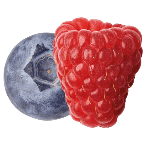 Blueberries | BerryWorld