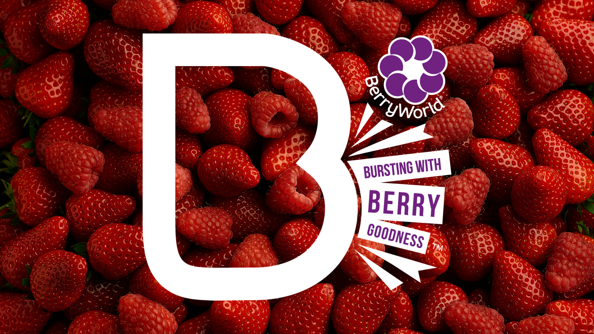 BerryWorld | Welcome to our BerryWorld