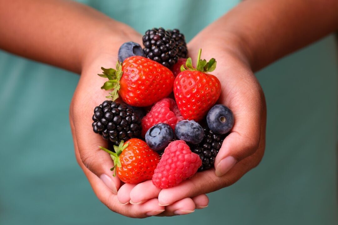 Our Story | BerryWorld