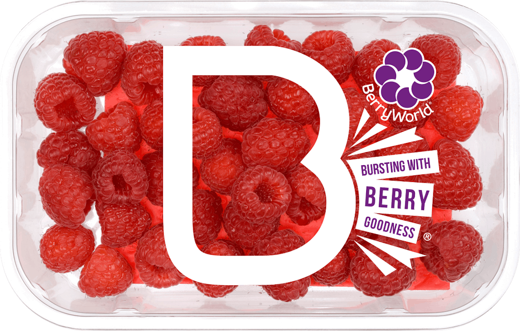 BerryWorld | Raspberries