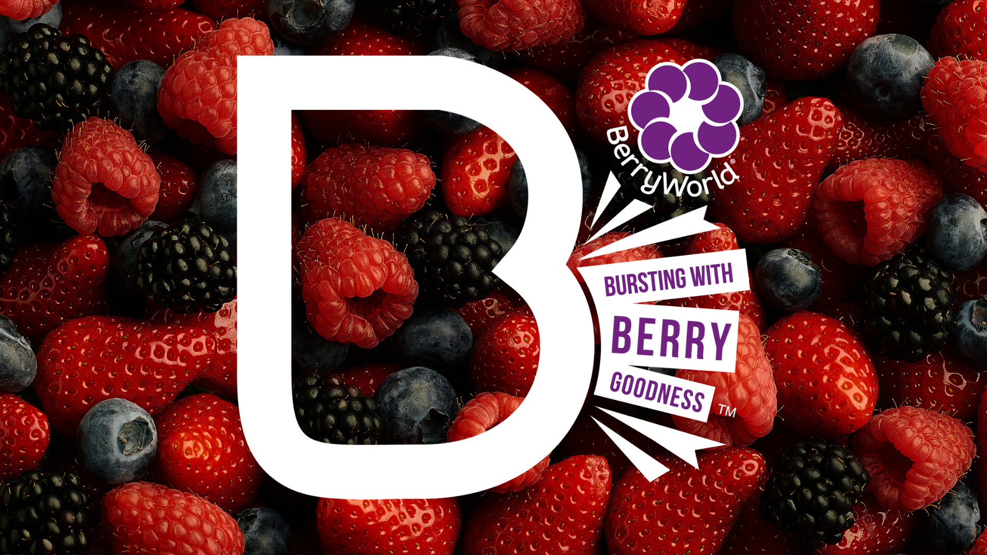 BerryWorld | Home