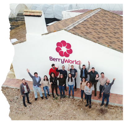 Our Story | BerryWorld