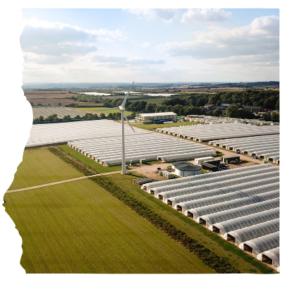 Our Story | BerryWorld