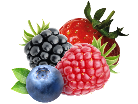 Award-winning fresh berries | BerryWorld