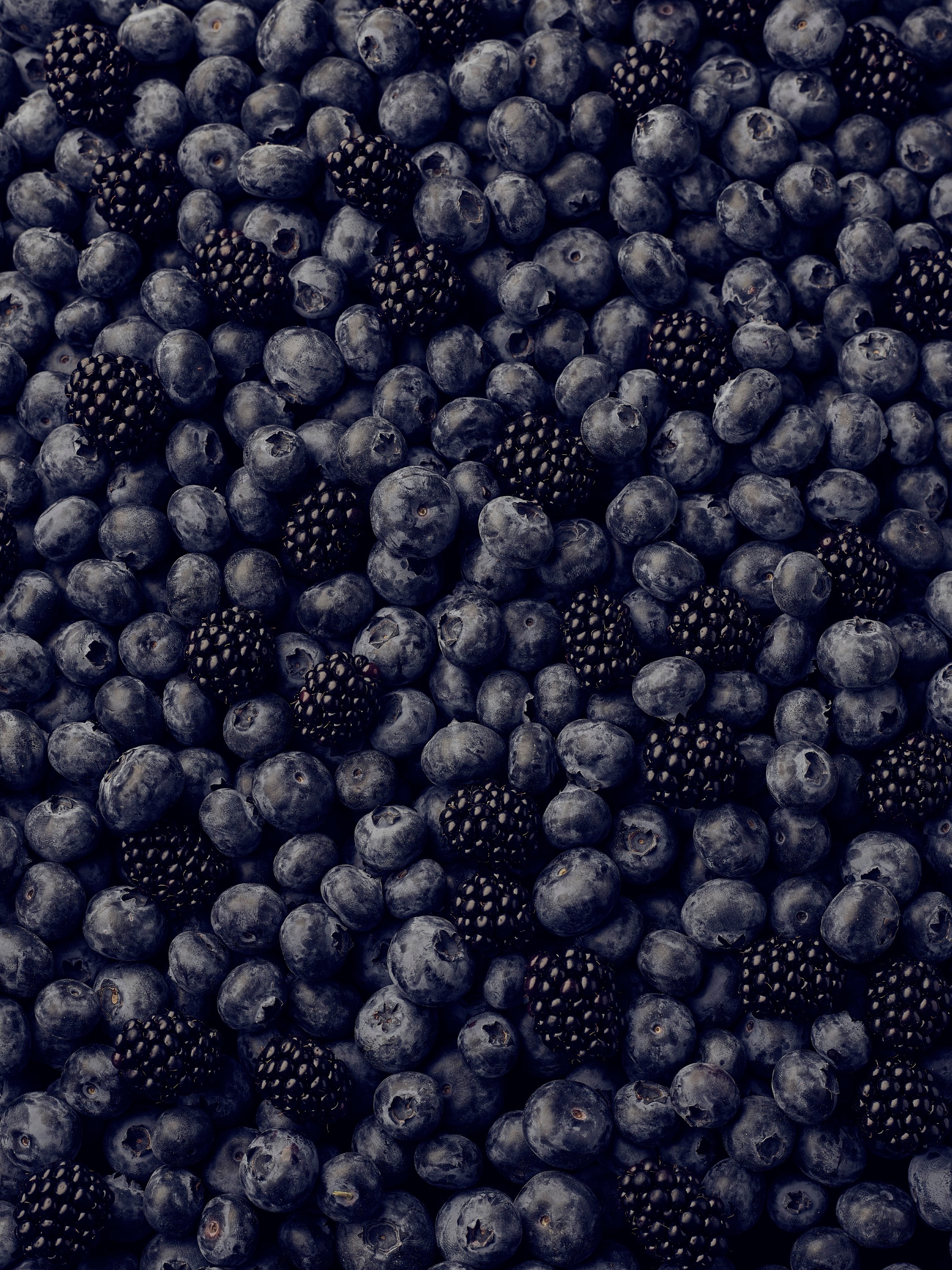 BerryWorld | Pourquoi certains fruits rouges sont-ils considérés…