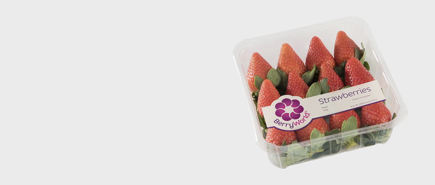 Specialty packaging sets precedent for strawberry… | BerryWorld