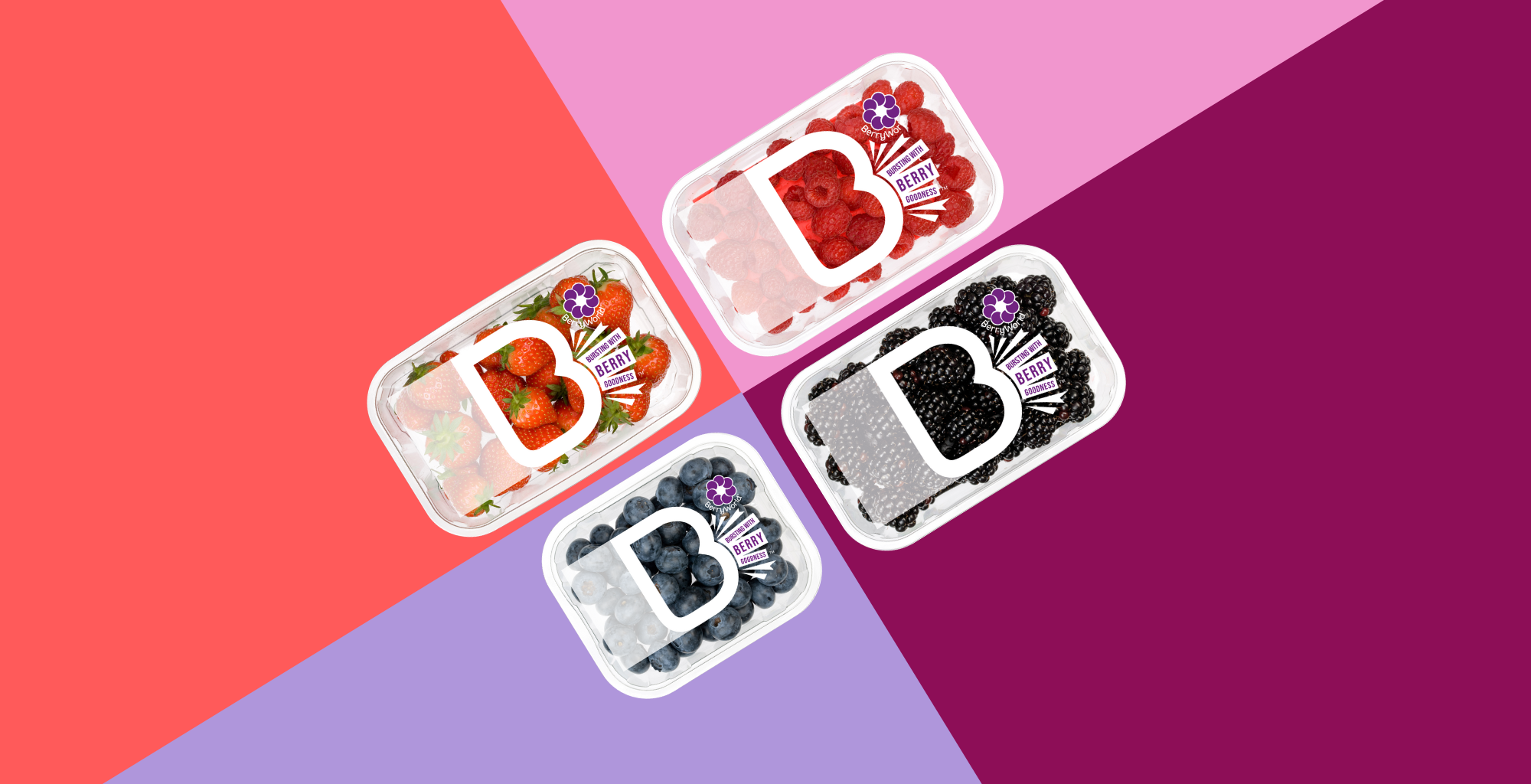 BerryWorld | Berry, Steady, Go New Look Launching!