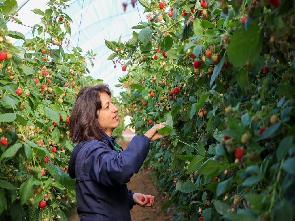 BerryWorld | Nos agriculteurs sont les stars du week-end