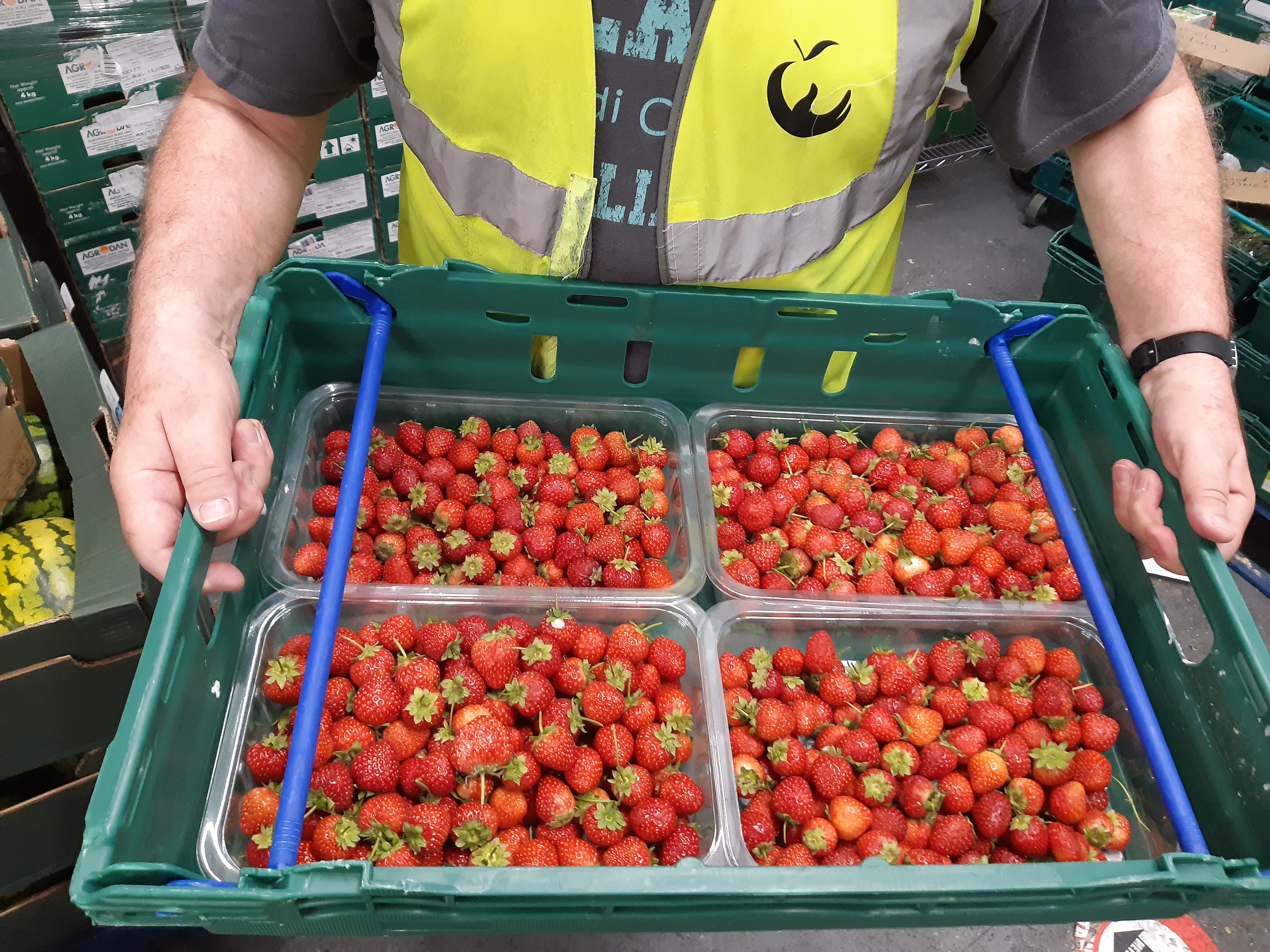 BerryWorld | BerryWorld x FareShare partnership hits 1 million meals