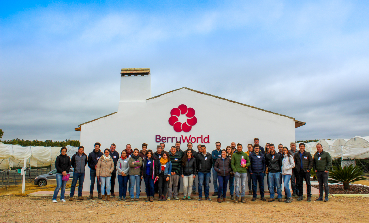 BerryWorld Spain unites growers for 2020 vision | BerryWorld