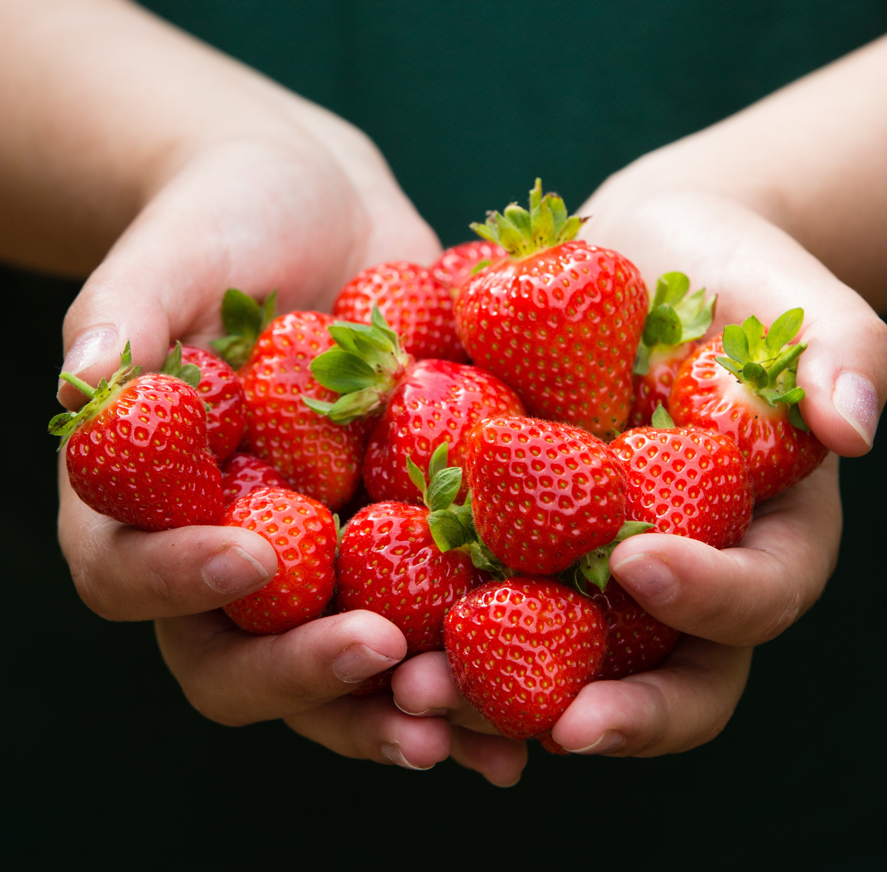 BerryWorld | Le saviez-vous