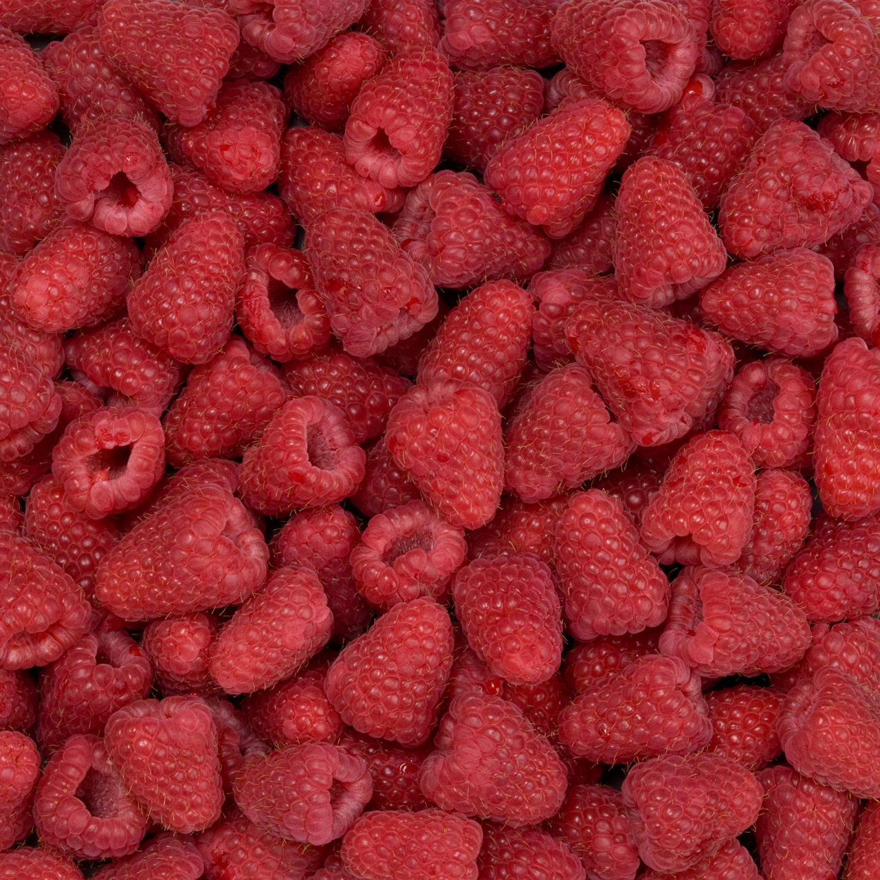 BerryWorld | Le savoir-faire Berryworld