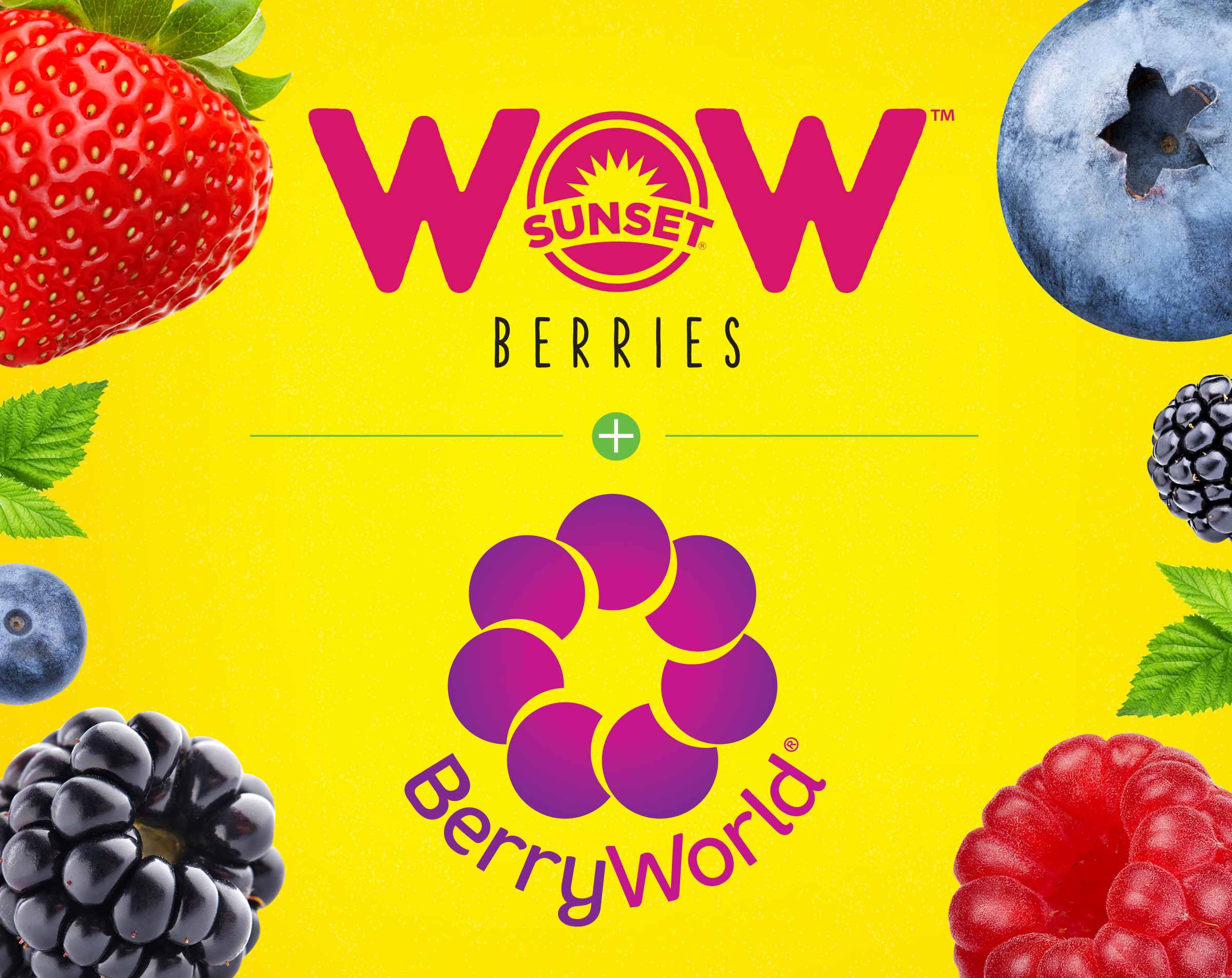 BerryWorld | Meet BerryWorld & WOW™ Berries at PMA Fresh Summit