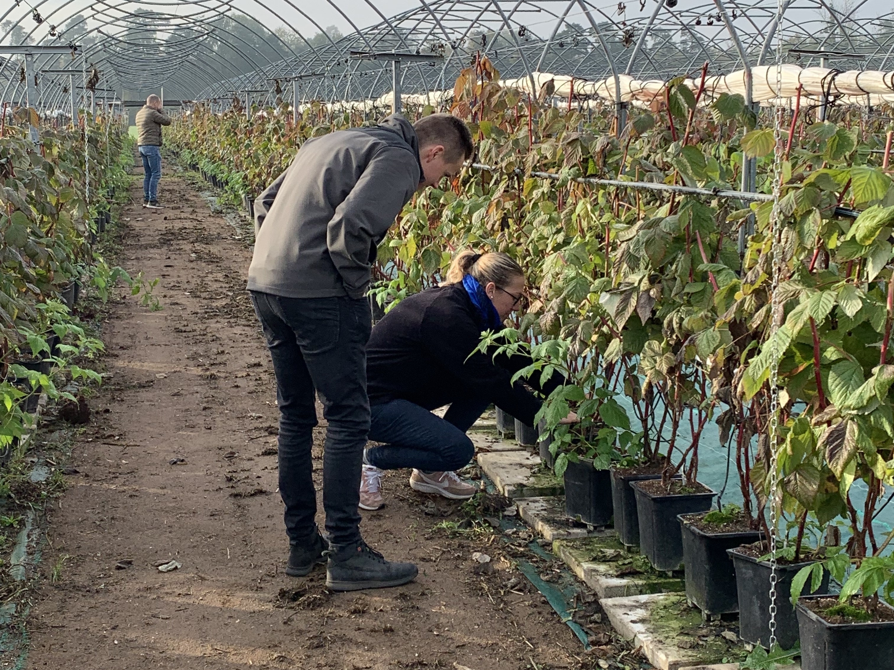 BerryWorld | L'automne, le temps du bilan avec nos producteurs…