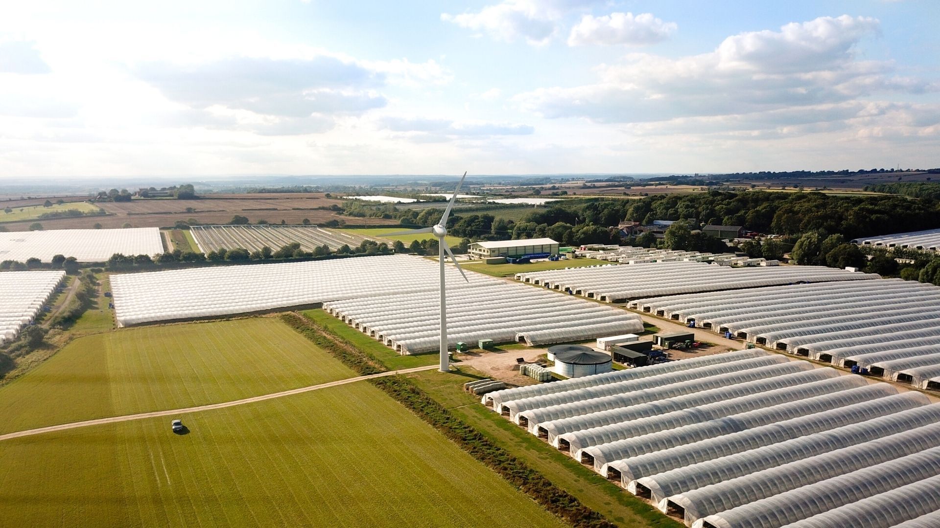 BerryWorld | A World of Good