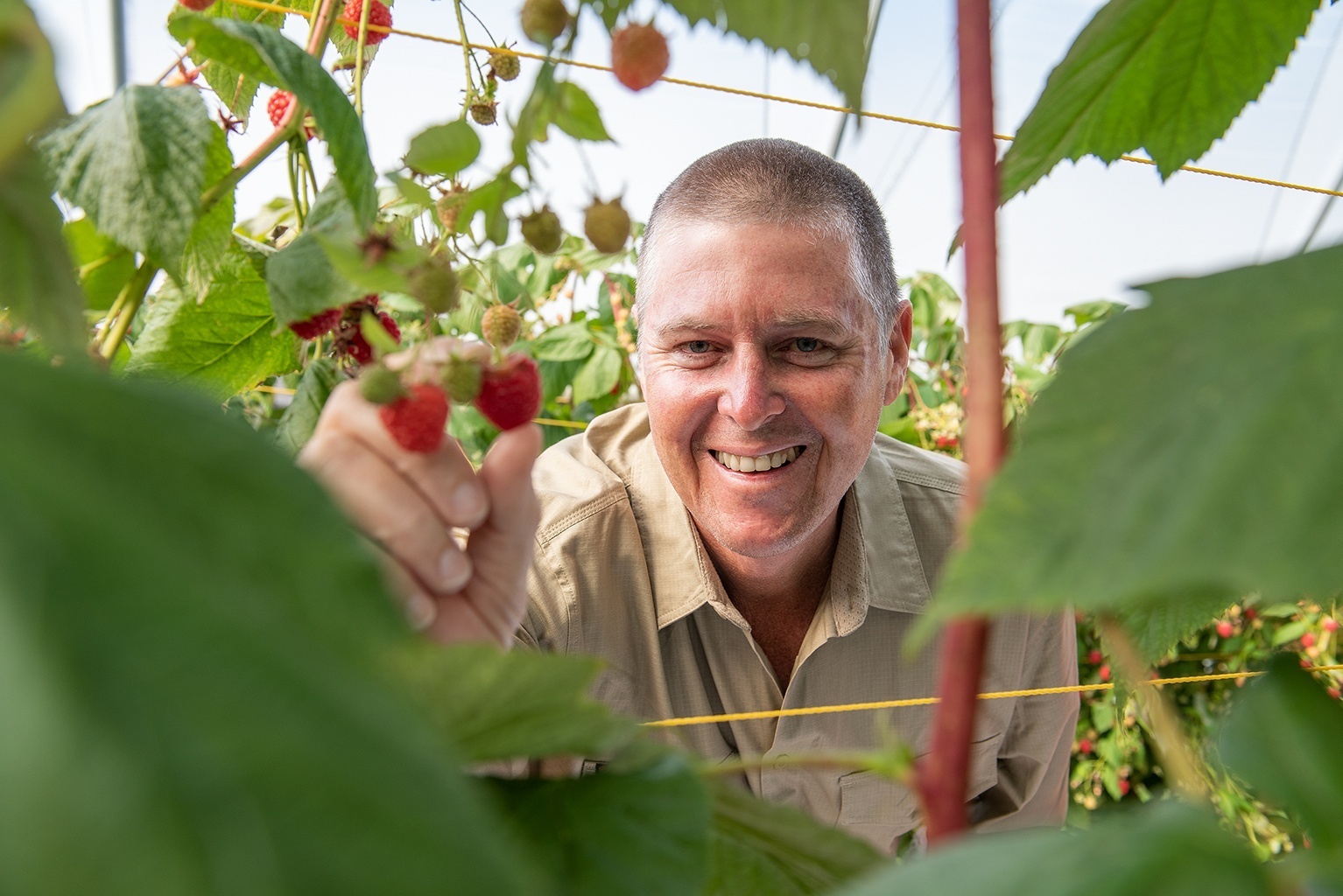 BerryWorld | Contact Us