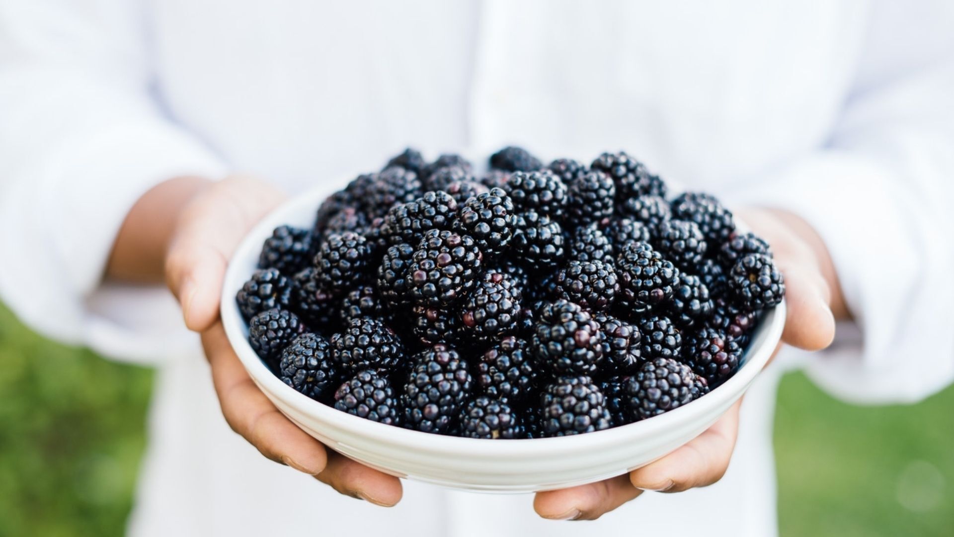 BerryWorld Blackberries | BerryWorld