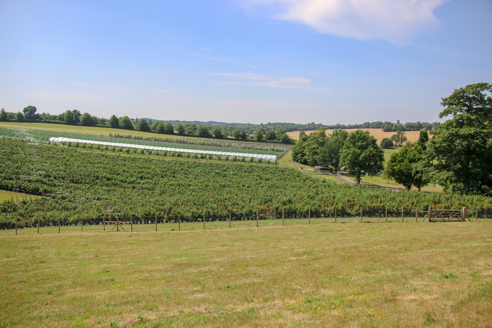 BerryWorld Plus™ | BerryWorld