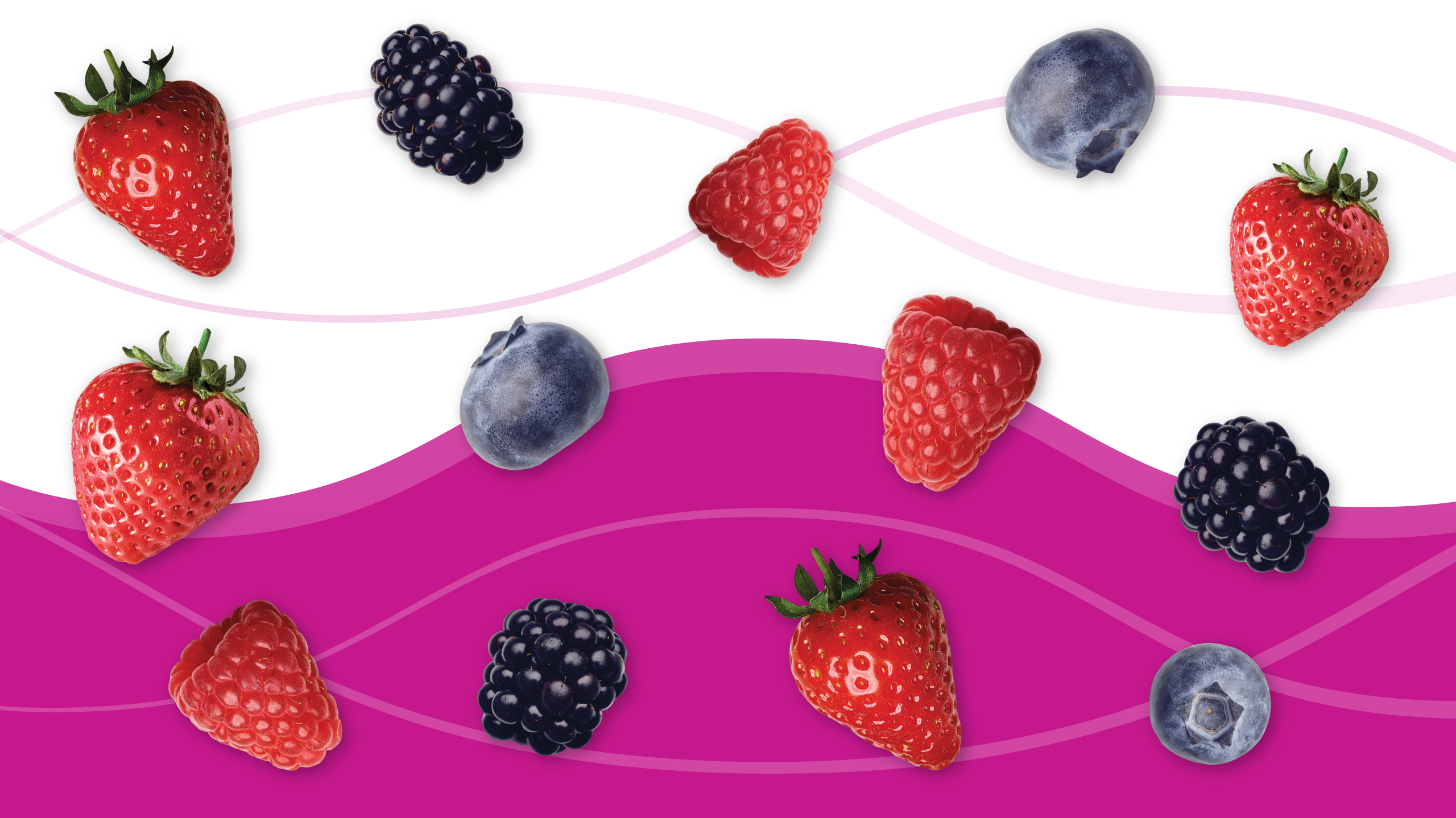 BerryWorld | Contact Us