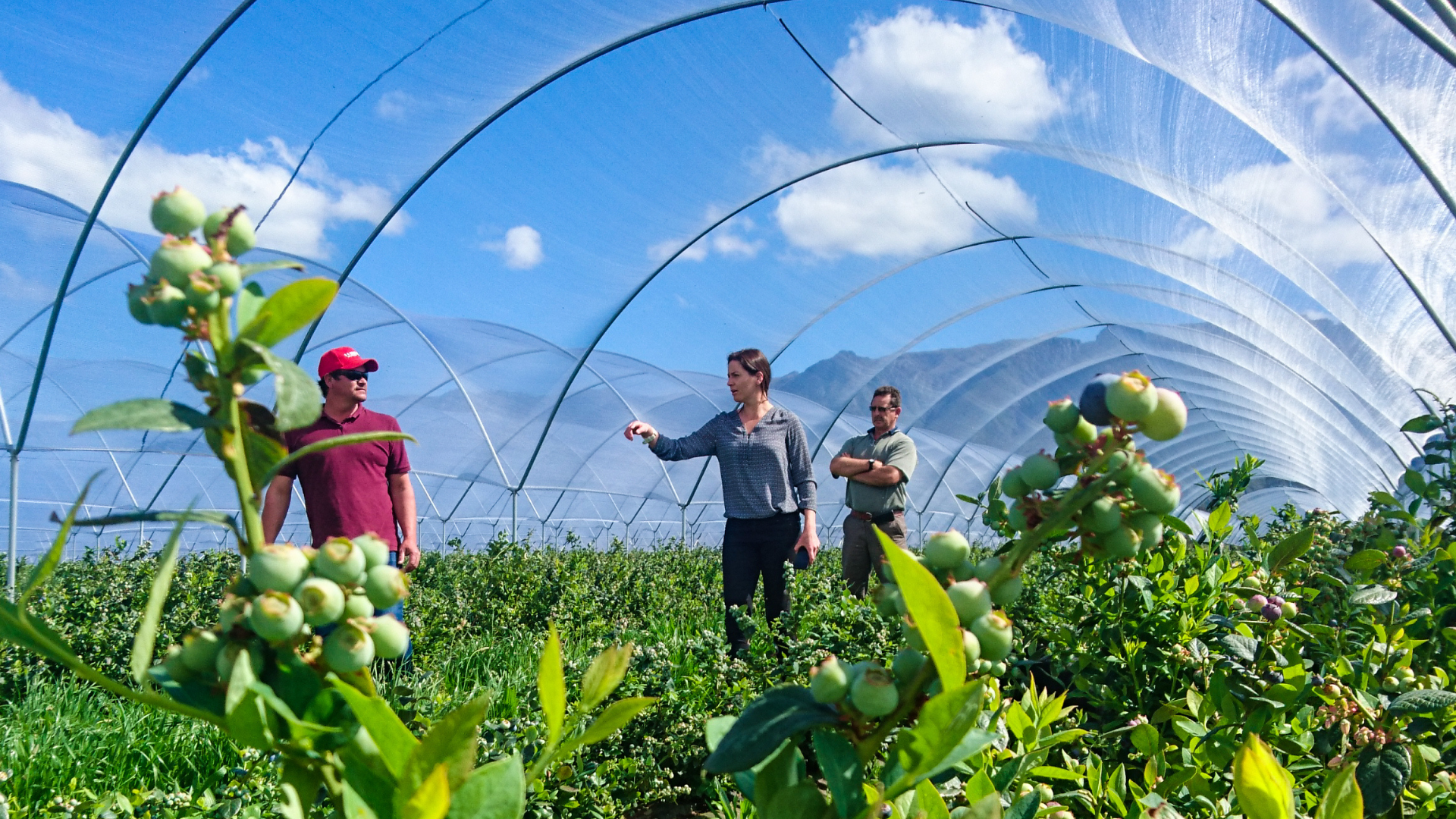 We're People Powered | BerryWorld