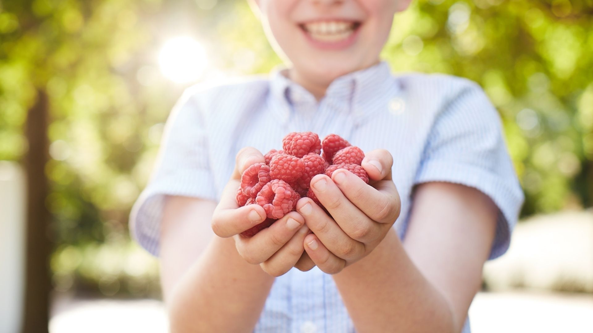 BerryWorld | BerryWorld Raspberries