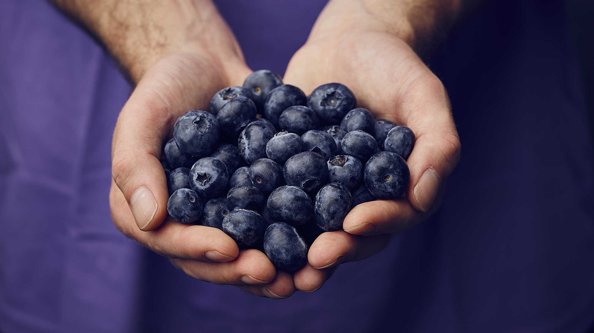 BerryWorld | The BerryWorld way in Zimbabwe