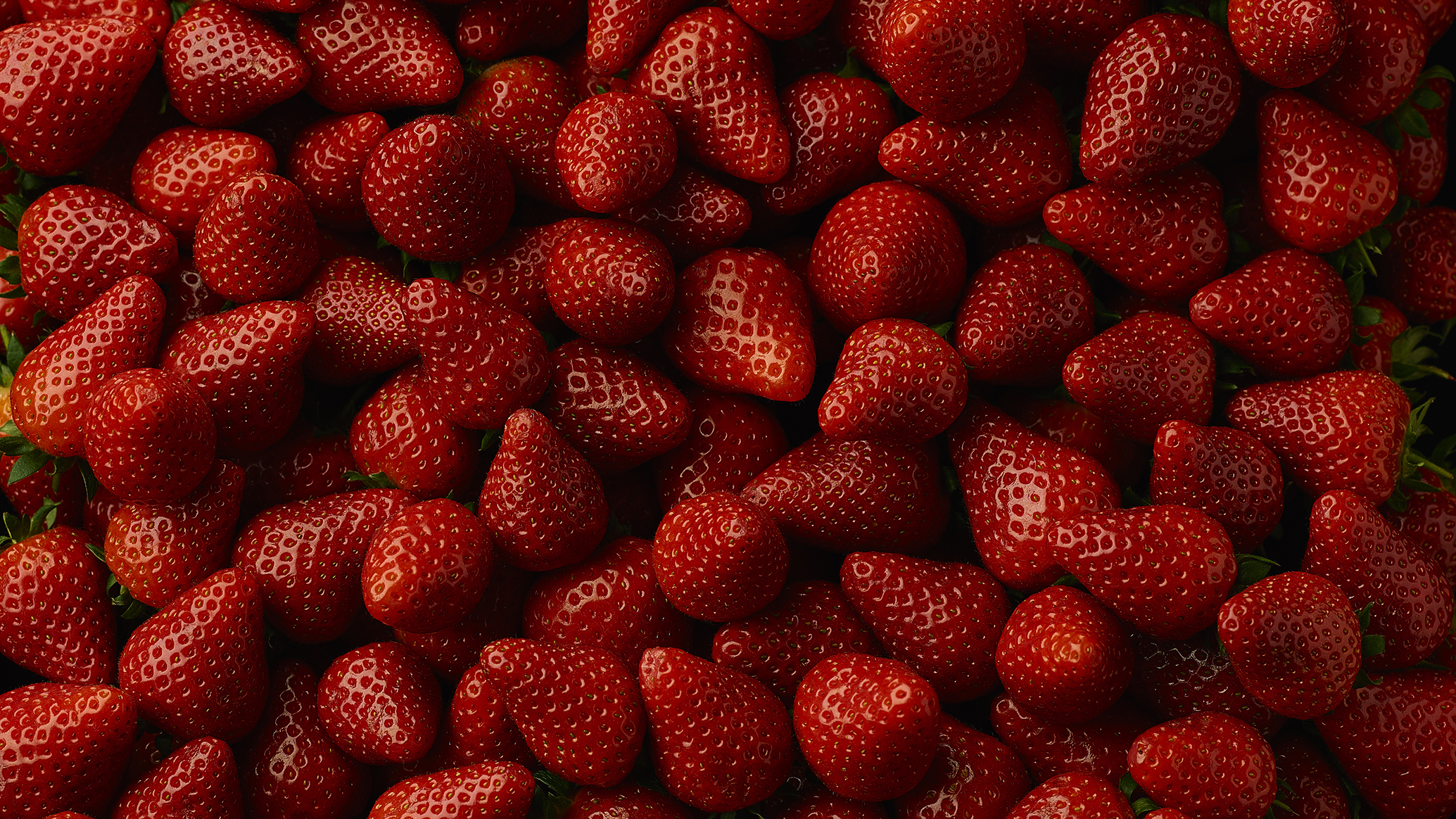 BerryWorld | Todo sobre las fresas | Nutrición | Recetas