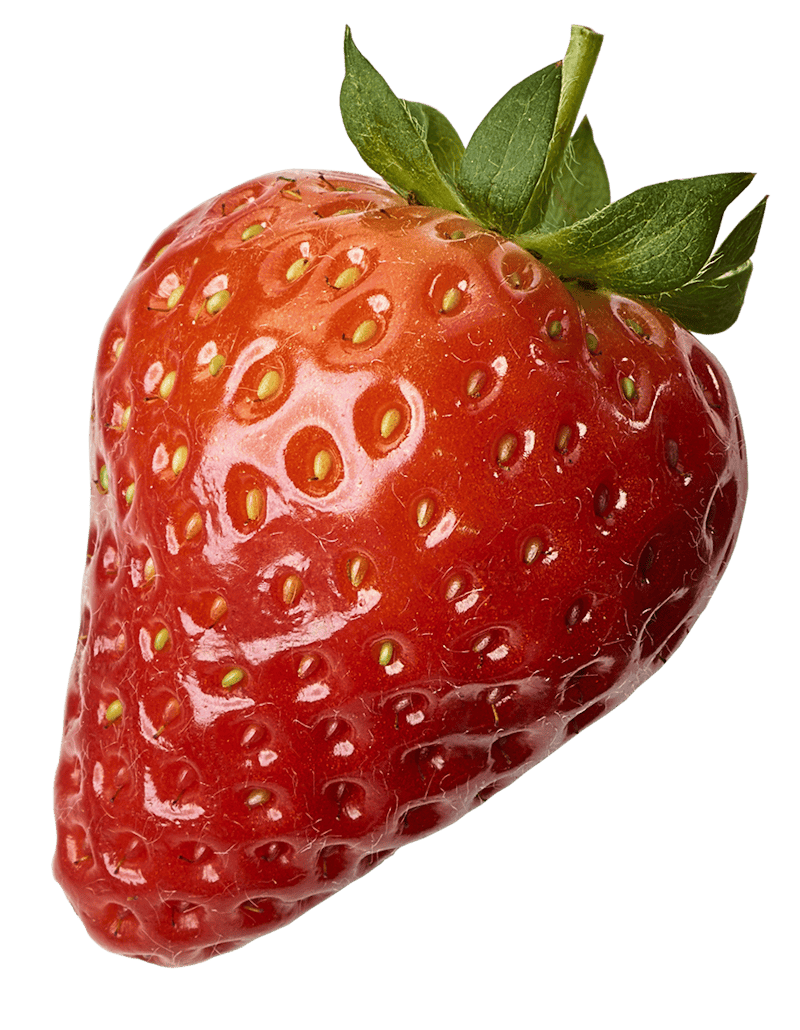 Strawberries | BerryWorld