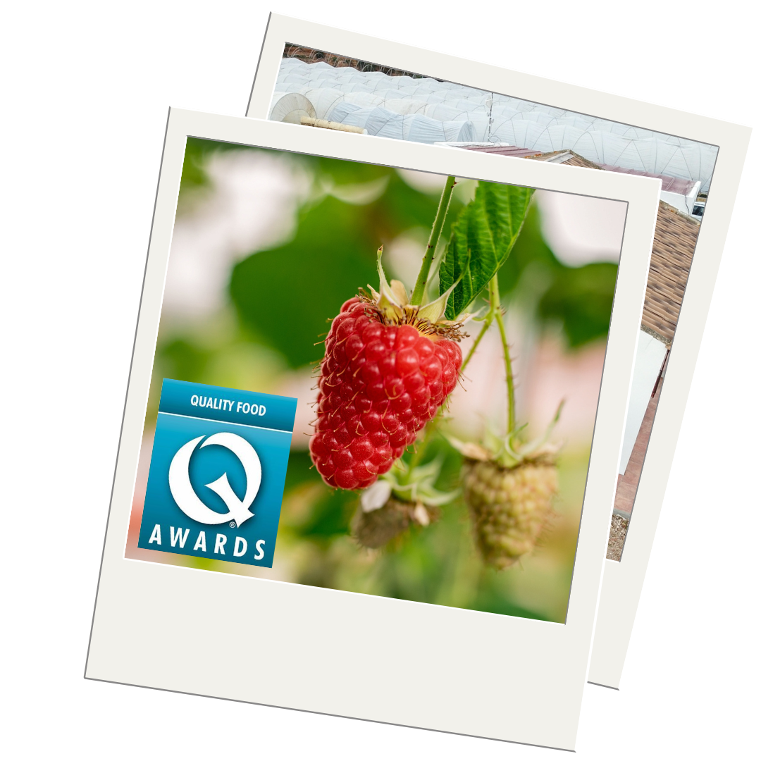 BerryWorld Plus™ | BerryWorld