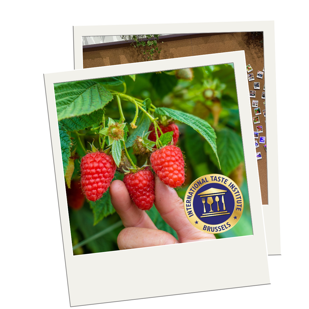 BerryWorld Plus™ | BerryWorld