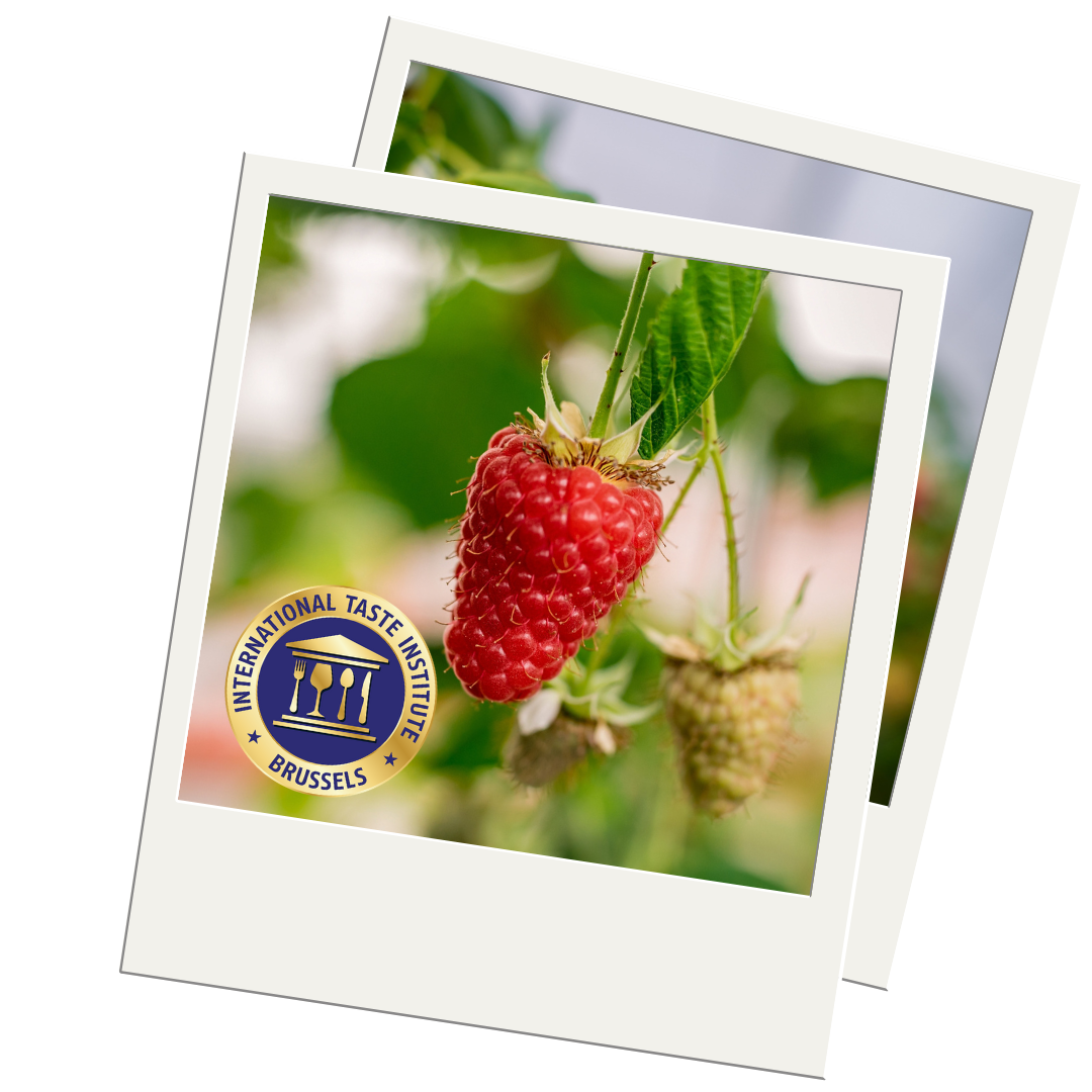 BerryWorld Plus™ | BerryWorld