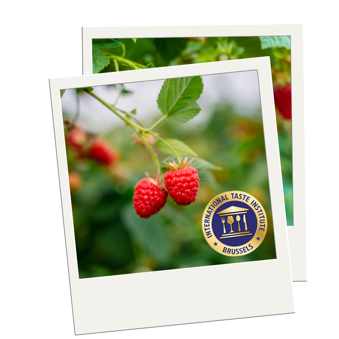 BerryWorld Plus™ | BerryWorld