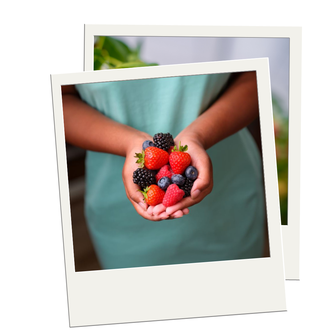 BerryWorld Plus™ | BerryWorld