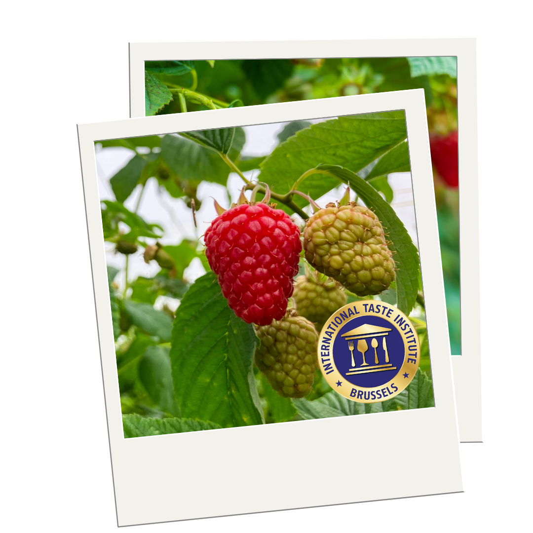 BerryWorld Plus™ | BerryWorld